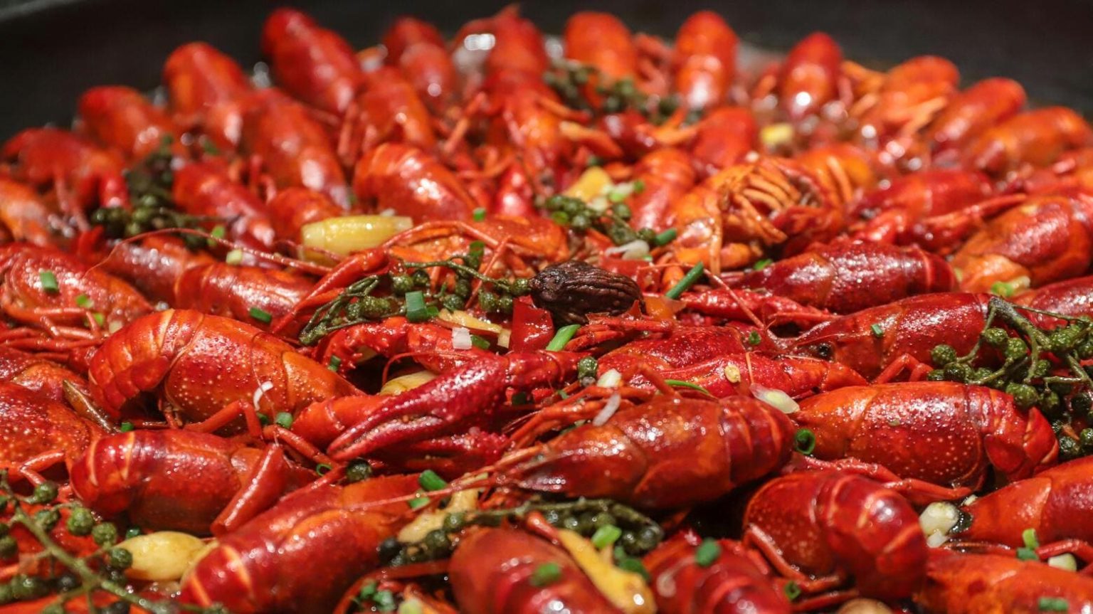 Experience the NOLA Crawfish Festival: A Celebration of Music, Food ...